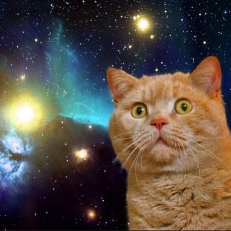 Dank Memes Community | Digg | Digg