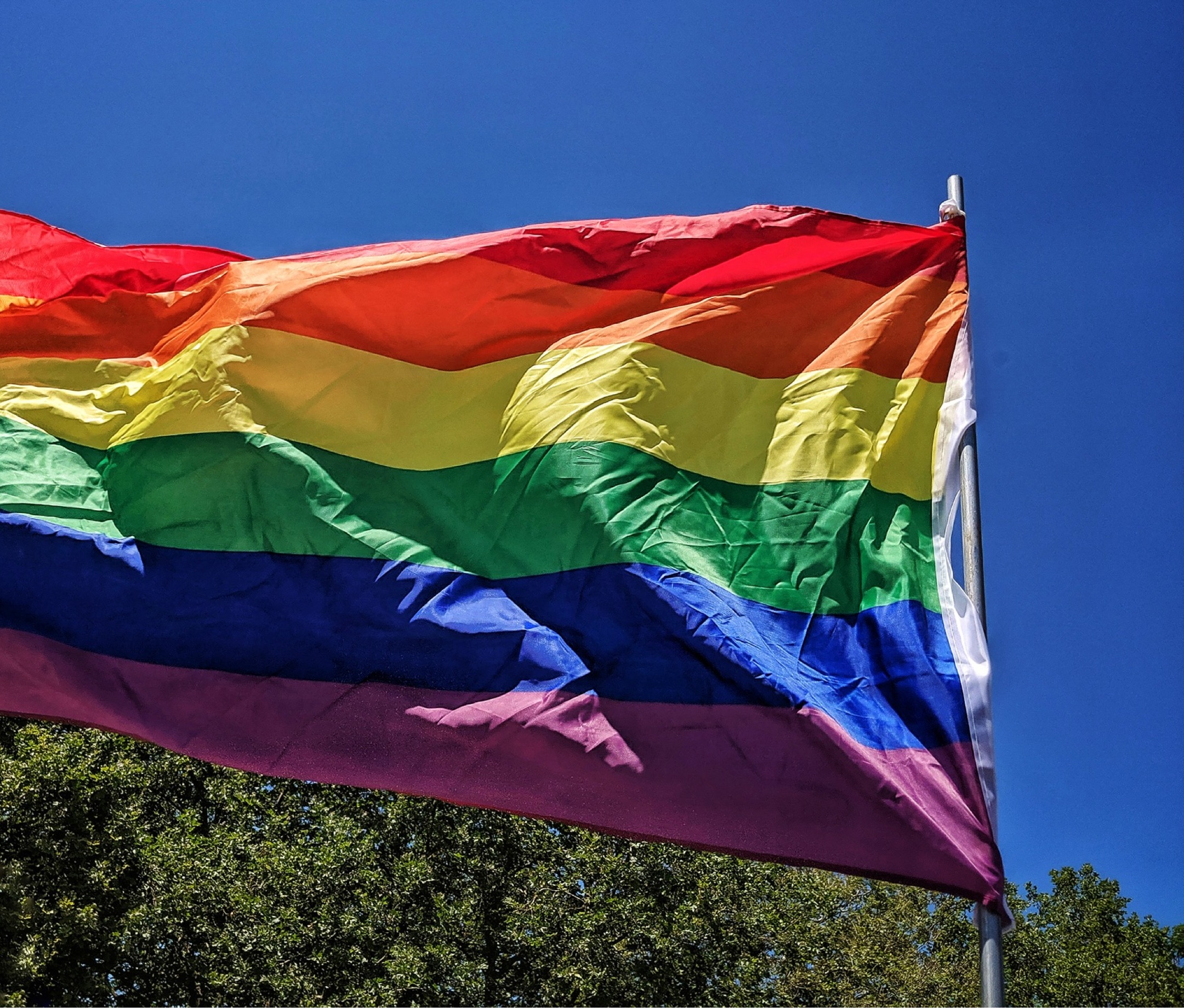 LGBTQ+ Community | Digg | Digg