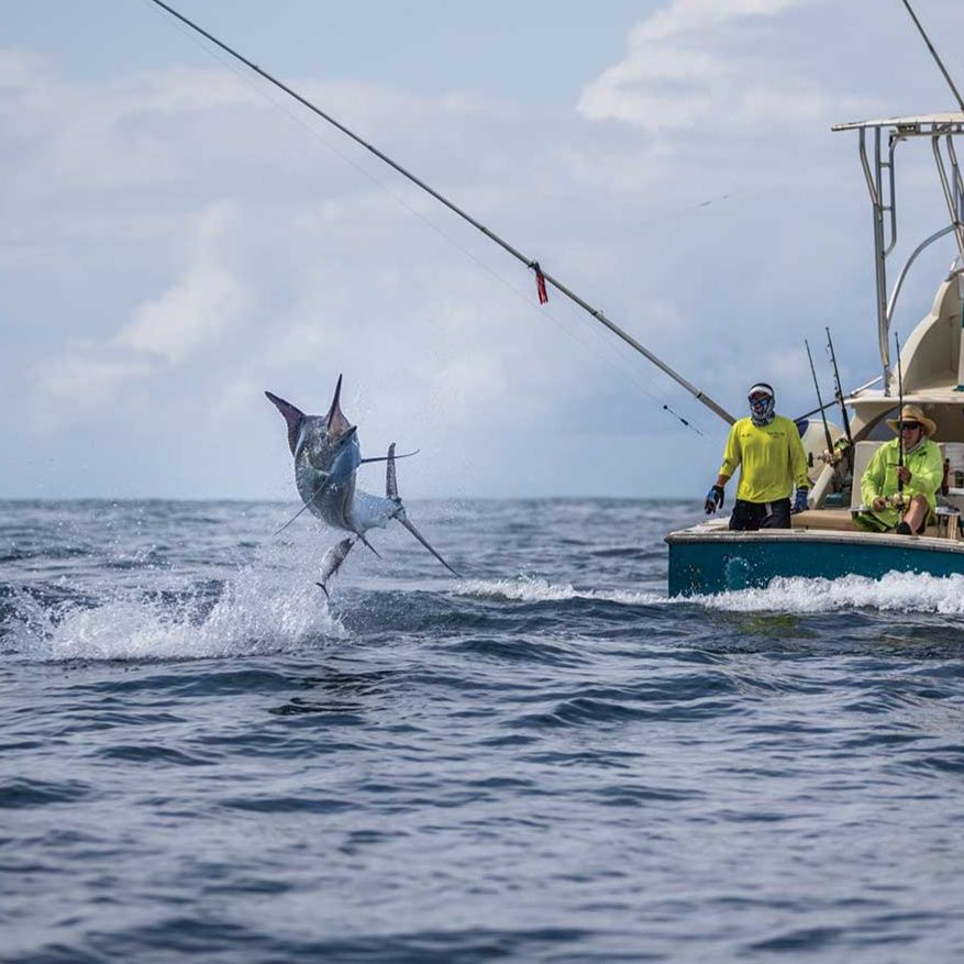 offshorefishing Community | Digg | Digg